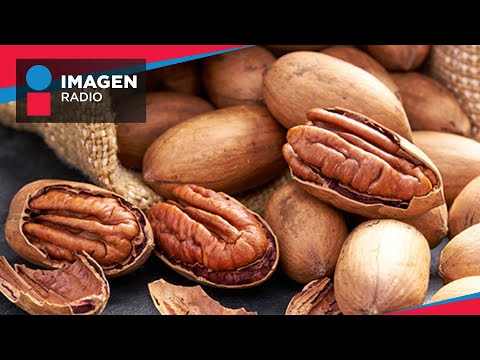 Propiedades y beneficios de consumir nuez pecana