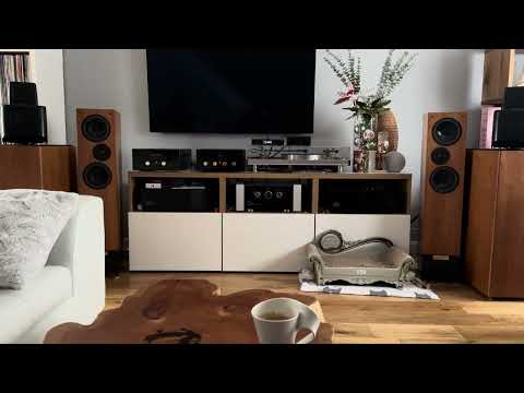 Living Voice Avatar, Audio Note P2 SE, Audio Note M2 Phono