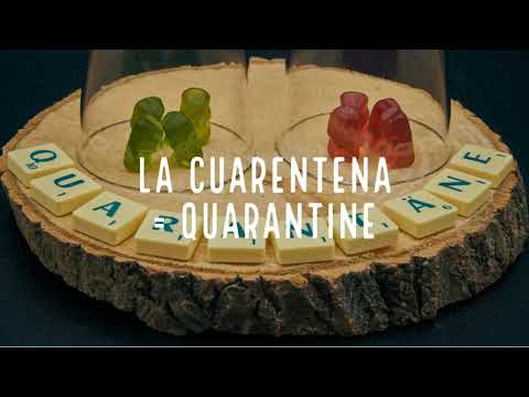 Daily Spanish | The Vet or El Veterinario
