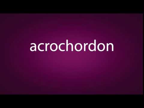 How to pronounce acrochordon