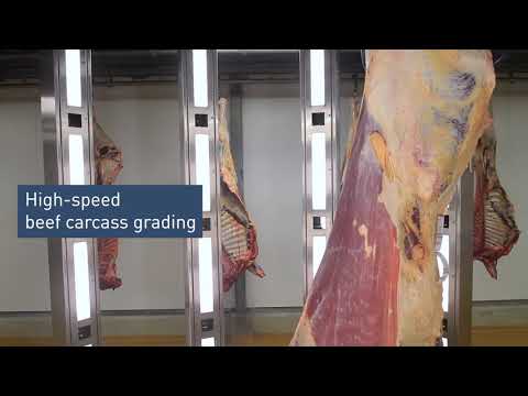 Frontmatec Beef Solutions | Beef Classification Center, BCC-3™