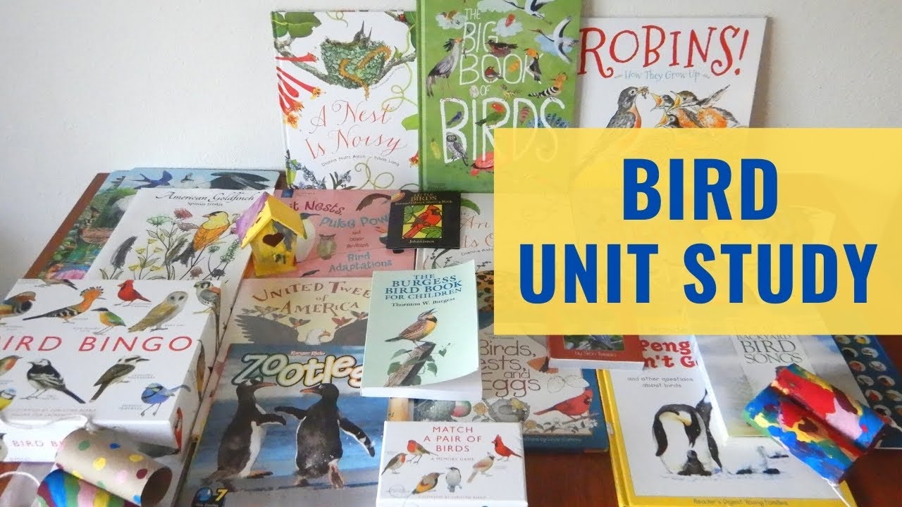 Bird Unit Study | Homeschool Bird Activities