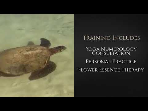 100 HR Yoga Teacher Training 720p