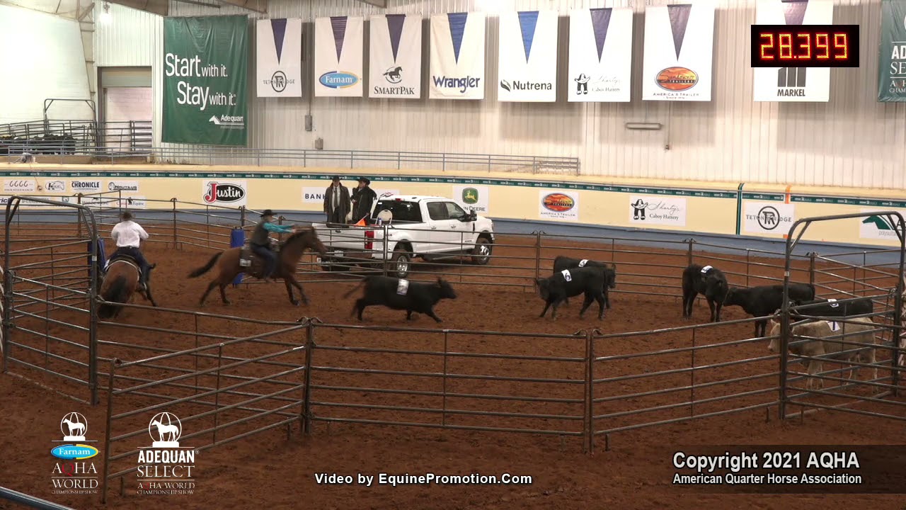 2021 AQHA Select Ranch Sorting