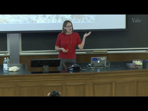 Maureen Long: “Earthquakes, Volcanoes, & Tsunamis, Oh My! The Science ...