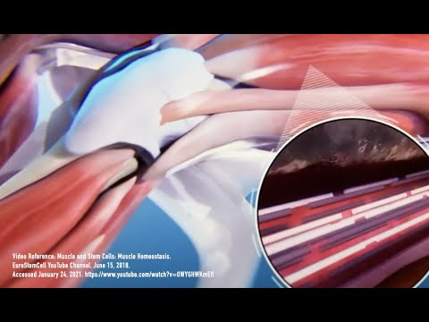 Ear Point Activity & Brain Communications: Clearing old patterns held by the central nervous system