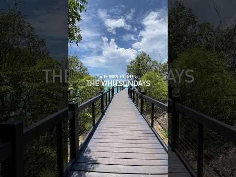 Things to do in the Whitsundays #australia #travel #whitsundays #qld #whitehaven #airliebeach #short