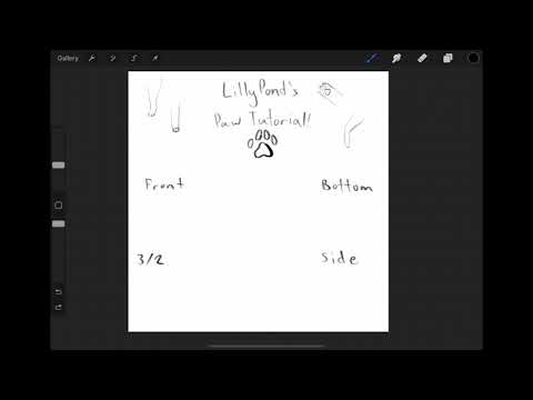 How to Draw Cat Paws My Way!!