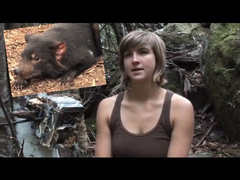 UTAS SET Profile - Lily Leahy - Zoology & Tasmanian Devils