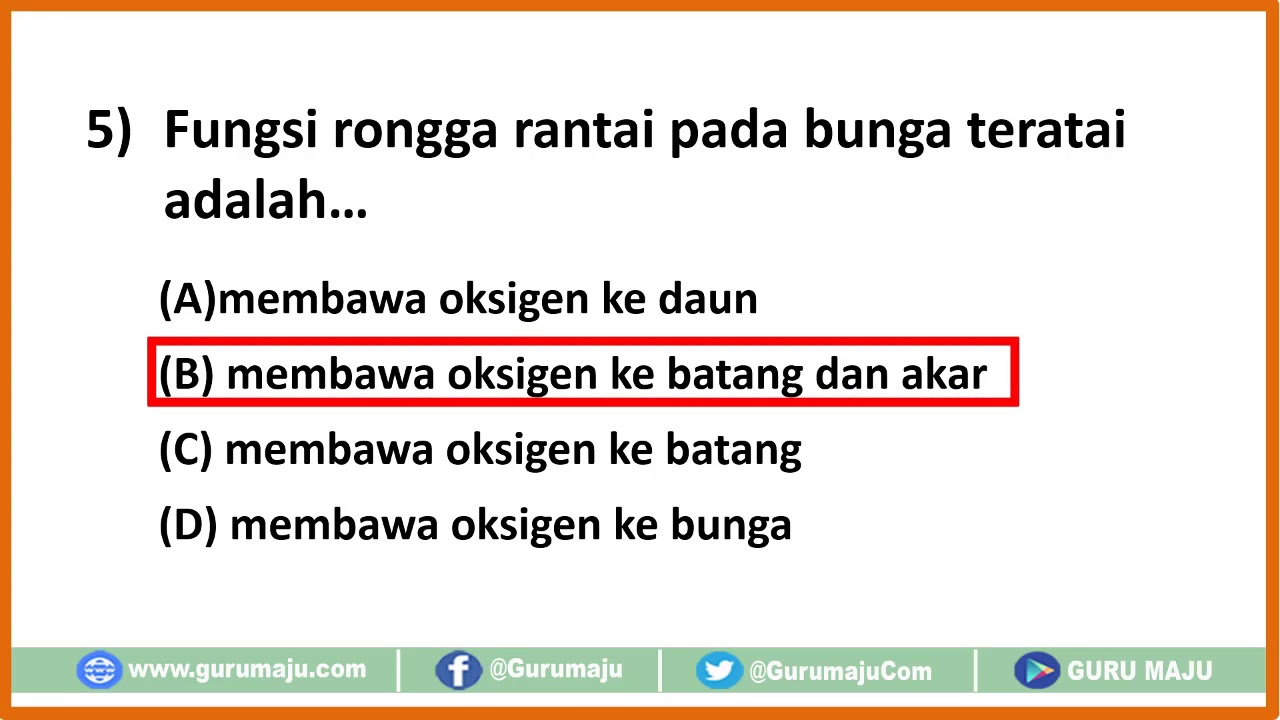 Soal UAS Kelas 6 Tema 2 Kurikulum 2013 Revisi 2018 Semester 1