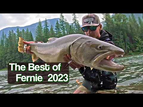 The Best of Fernie BC 2023; Fly fishing in the Elk Valley - Canada