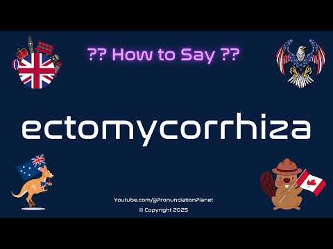 🍄🌱 How to Pronounce ectomycorrhiza? (CORRECTLY) | Pronunciation Planet