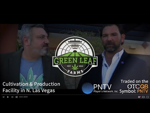 A Glimpse into Green Leaf Farms