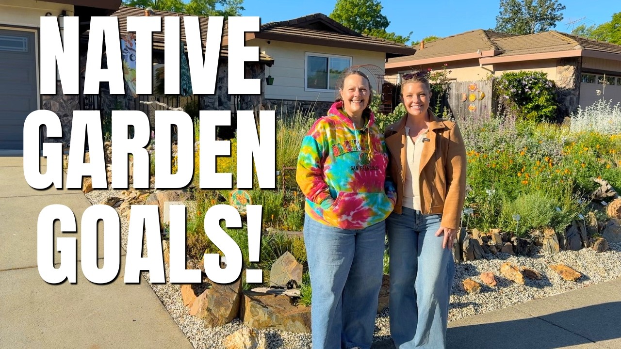 From Lawn to Native Garden in Just One Year… Come See Lynn’s Garden!
