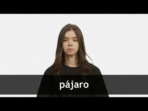 How to pronounce PÁJARO in European Spanish