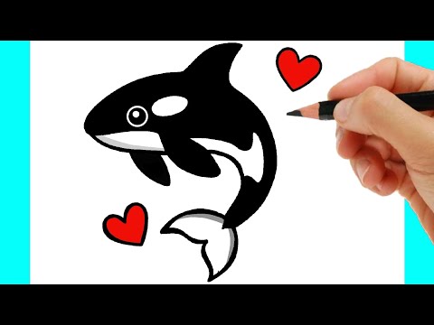 HOW TO DRAW A KILLER WHALE (orca) - how to draw a whale kawaii easy step by step