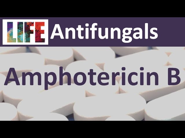 Liposomal Amphotericin Injection - Liposomal Amphotericin B Injection ...