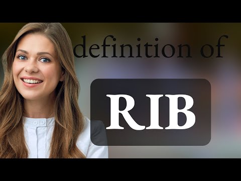 Rib — RIB definition