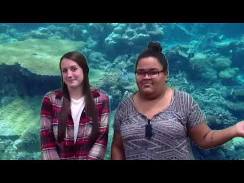 Green Screen – Megan McIntosh