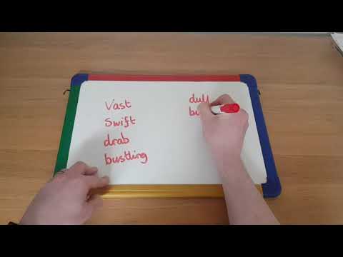 Synonyms and antonyms