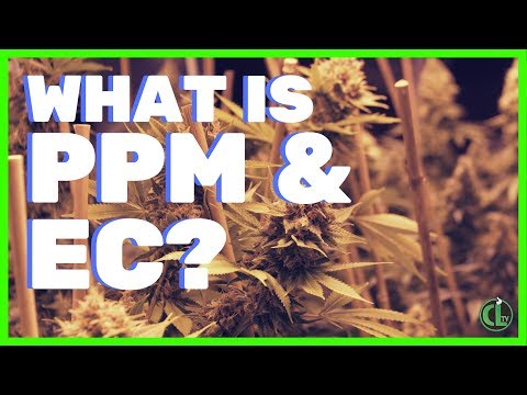 What is the Best PPM for Cannabis? [EXPLAINED + TIPS]
