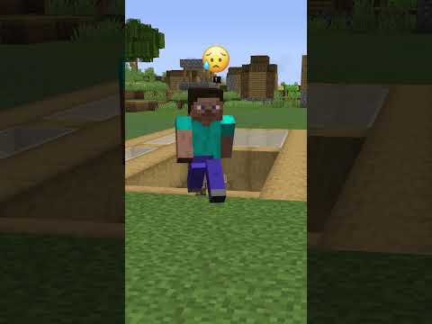 Sad Spawn Of Dog Betrayal vs Black Hole Emoji Reaction #shorts #meme #minecraft