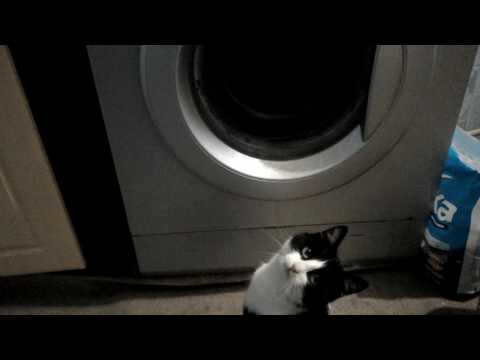 Steam Community :: Video :: V 20170109 172310