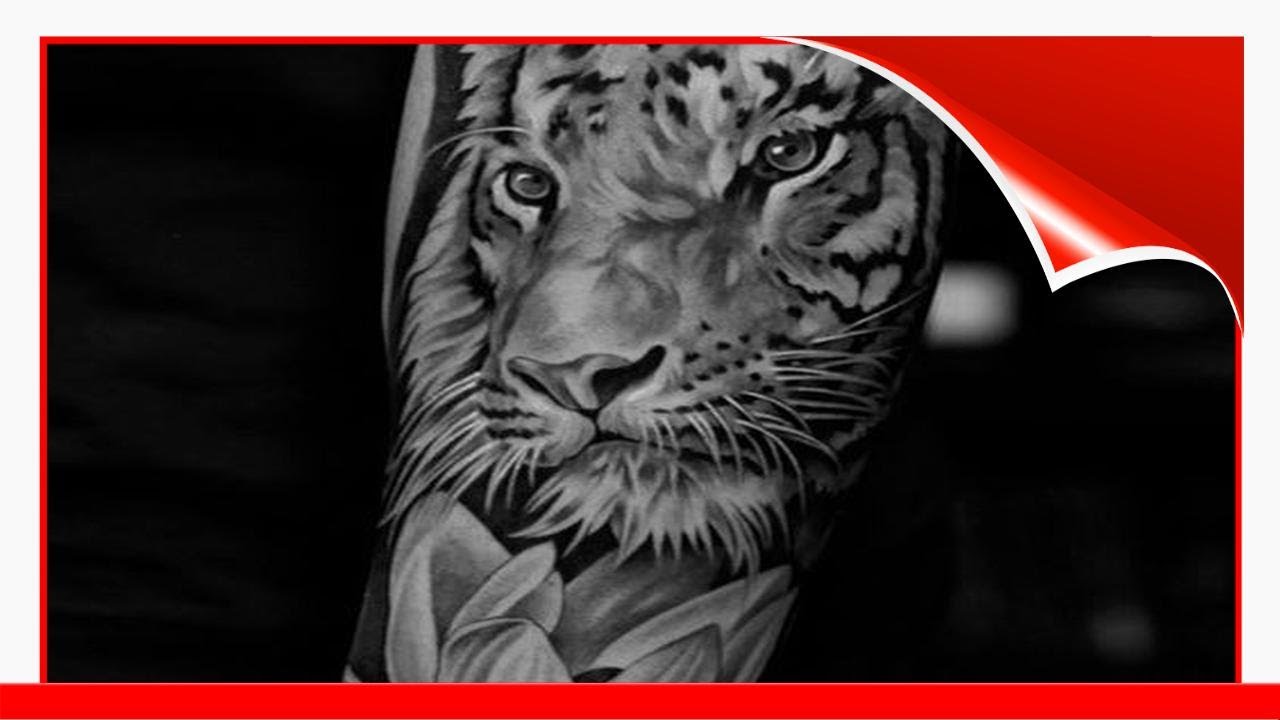 Tiger Tattoo Designs That Will Blow Your Mind Away !