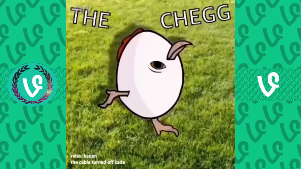 THE CHEGG