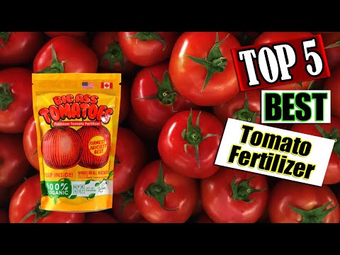 Top 5: Best Tomato Fertilizer to Buy in 2022