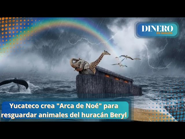 Actualidad - Huracán Beryl sorprende a reportera durante transmisión en ...