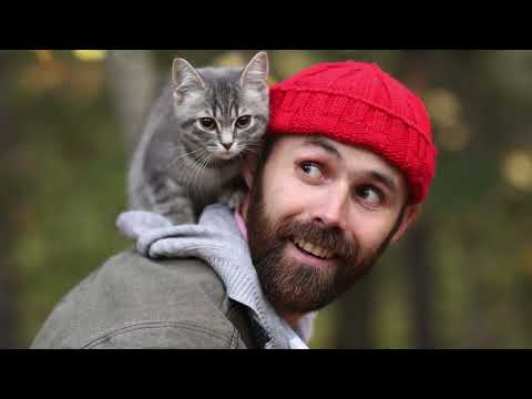Cats and Kittens All the Way 🐾 | Fun & Cute Cat Song for Kids
