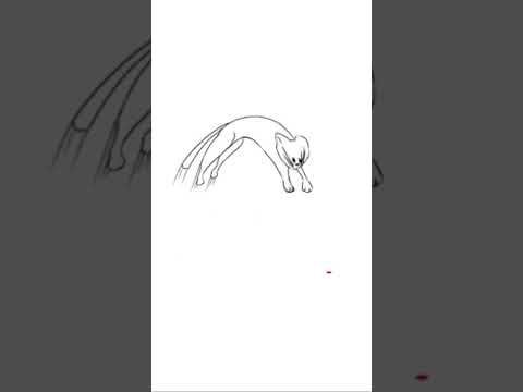 Silly cat gif #art #shorts #shortvideo #cat #catvideos #catart