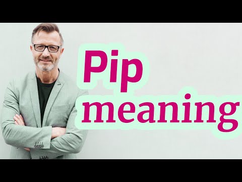 Pip | Meaning of pip
