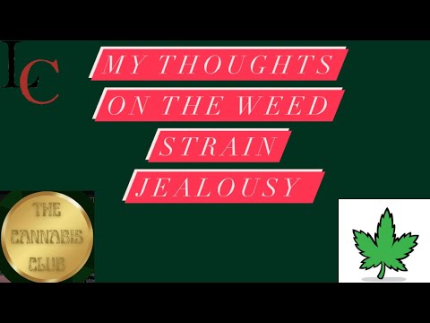 My thoughts on the weed strain Jealousy