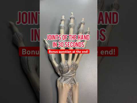 JOINTS OF THE HAND IN 30s #medicine #anatomy