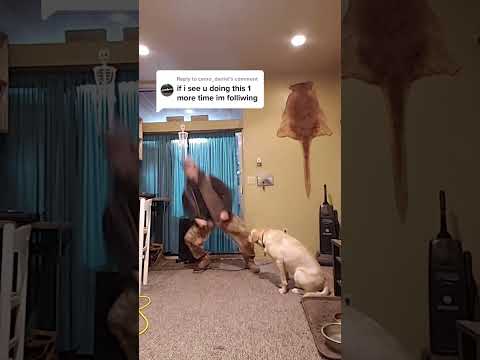 Cotton Eye Joe - Dance (Official)