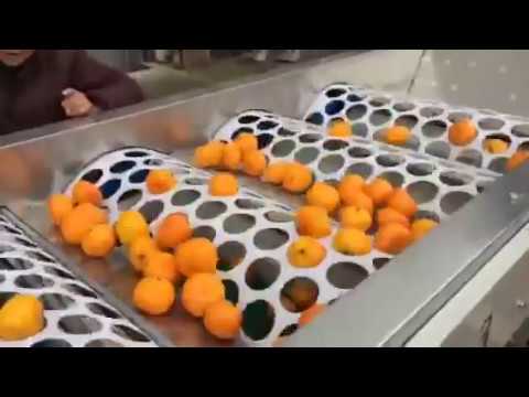 Fruit Grading Machine - Lemon Grading Machine Latest Price ...
