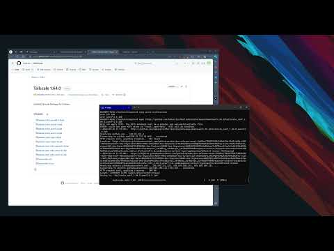 Install Tailscale manually, Entware Package