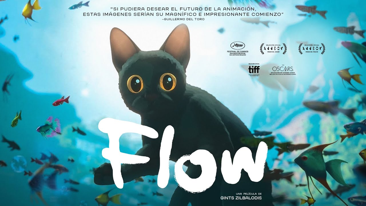 'Flow' es un éxito en México - Almomento | Noticias, información ...
