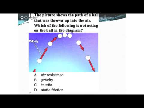 Unit #2 Quiz#2