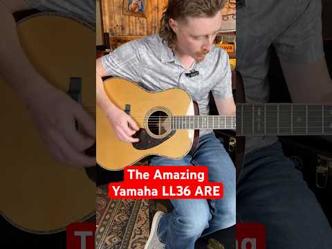 The Amazing Yamaha LL36 ARE Guitar!