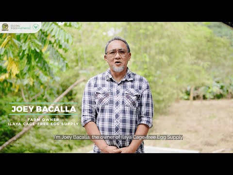 Creating a Cage-free Ecosystem in the Philippines