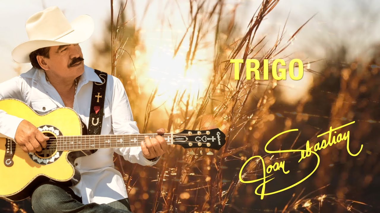 TRIGO LYRIC VIDEO OFICIAL