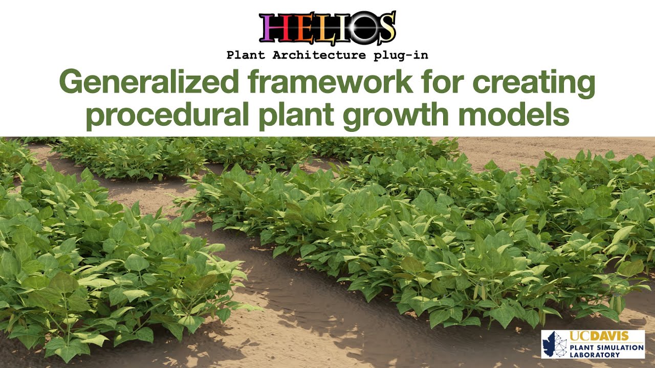 Helios Plant Architecture Plug-in - Generalized procedural plant growth model framework