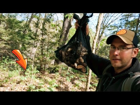 The SECRET to Late Season Morel Mushroom Hunting Success! - *Surprise Find!*