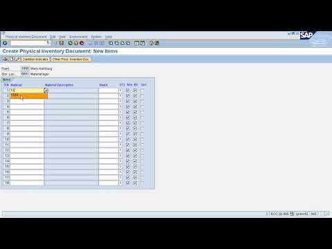 SAP MM - Physical Inventory