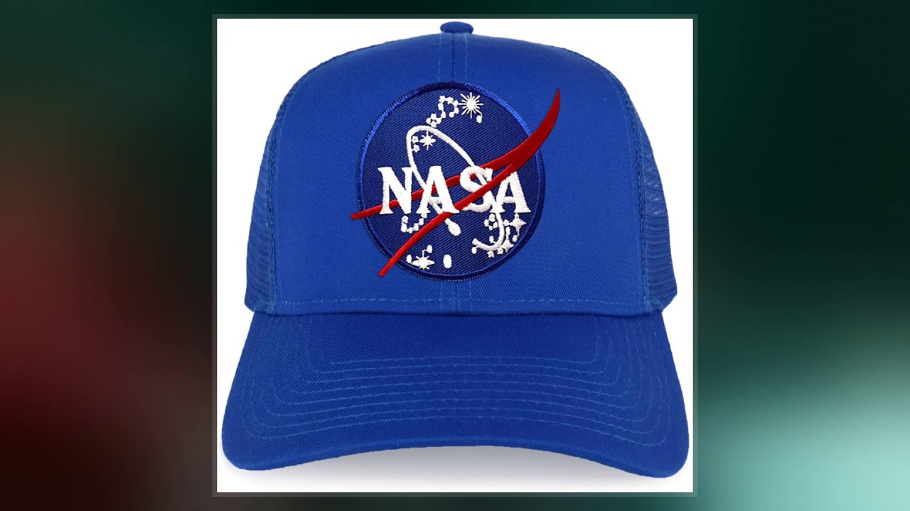 NASA Insignia
