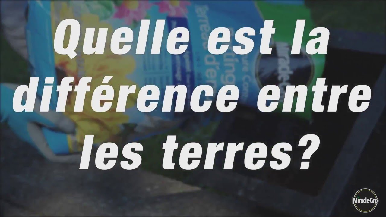 Terreau d'empotage ou terre à jardin | Scotts Miracle-Gro Canada