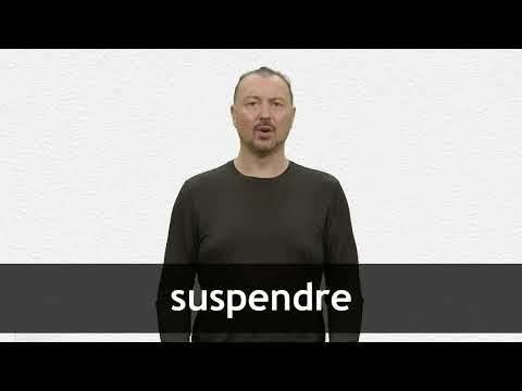 English Translation of “SUSPENDRE” | Collins French-English Dictionary
